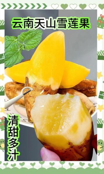 雪莲果怎么吃_雪莲果的家常做法大全-第1张图片-山城妙识