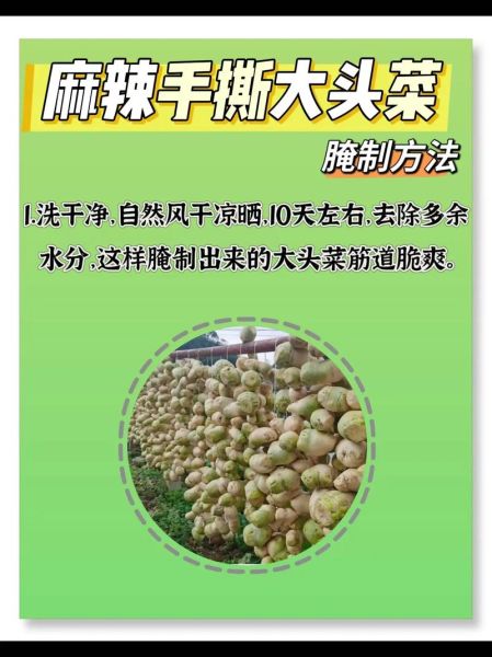 腌大头菜咸菜的做法_大头菜咸菜怎么保存-第1张图片-山城妙识