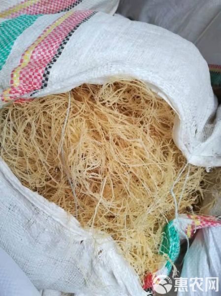 龙须菜正常颜色_龙须菜颜色发黄还能吃吗-第2张图片-山城妙识