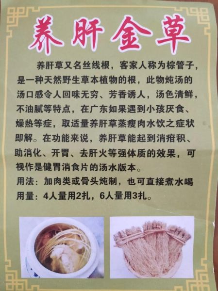 养肝草煲汤的做法大全_养肝草煲汤怎么做好喝-第3张图片-山城妙识