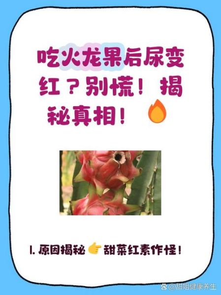 火龙果吃多了尿液变红_火龙果尿红正常吗-第3张图片-山城妙识