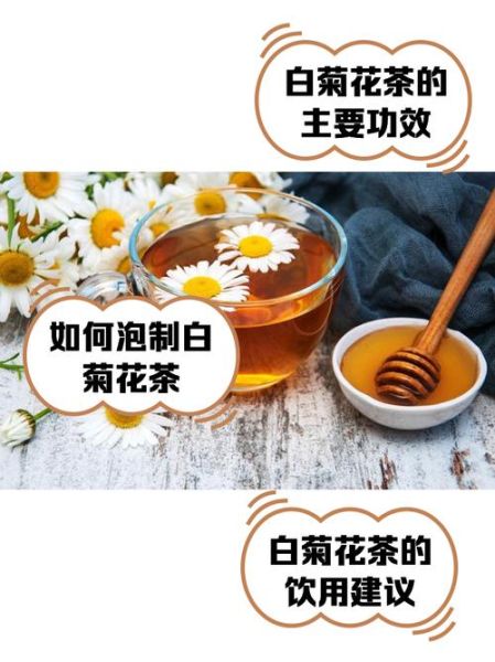 白菊花茶的功效与作用_白菊花茶怎么喝最养肝-第2张图片-山城妙识