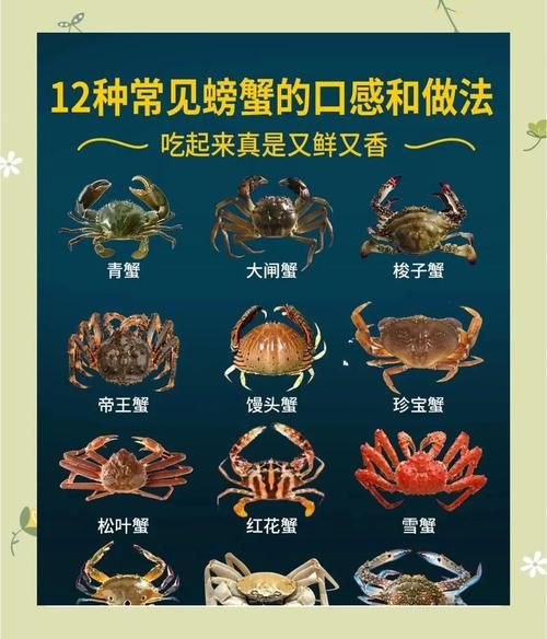 螃蟹怎么煮着吃_清蒸还是水煮更好-第3张图片-山城妙识 螃蟹怎么煮着吃_清蒸还是水煮更好-第3张图片-山城妙识