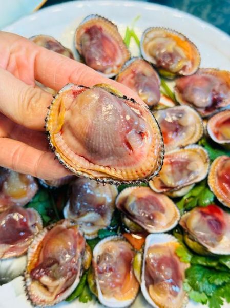 血蛤多少钱一斤_血蛤价格受哪些因素影响-第1张图片-山城妙识