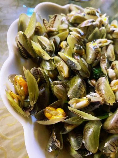 海瓜子高清图片_如何辨别新鲜海瓜子-第1张图片-山城妙识