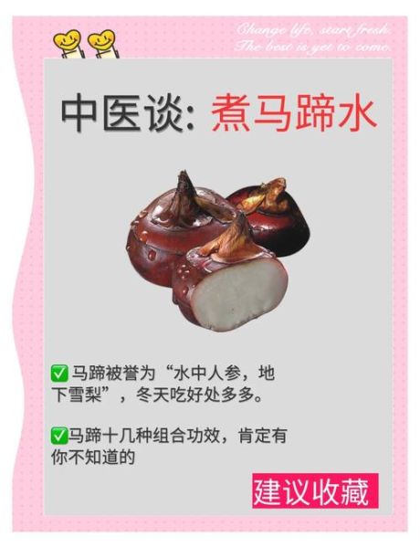 马蹄的营养价值_马蹄的功效与作用-第1张图片-山城妙识 马蹄的营养价值_马蹄的功效与作用-第1张图片-山城妙识