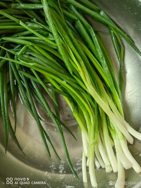 葱花怎么保存才新鲜_葱花可以放多久-第1张图片-山城妙识 葱花怎么保存才新鲜_葱花可以放多久-第1张图片-山城妙识