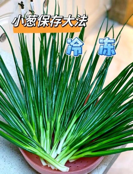 葱花怎么保存才新鲜_葱花可以放多久-第3张图片-山城妙识 葱花怎么保存才新鲜_葱花可以放多久-第3张图片-山城妙识
