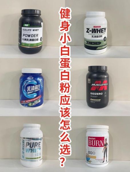 蛋白粉的功效与作用适合什么人吃_健身小白能吃吗-第3张图片-山城妙识 蛋白粉的功效与作用适合什么人吃_健身小白能吃吗-第3张图片-山城妙识