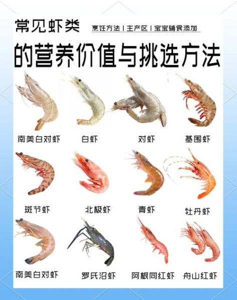 淡水虾有哪些品种图片_淡水虾品种大全及名称-第3张图片-山城妙识