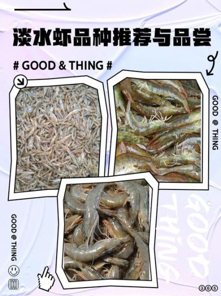 淡水虾有哪些品种图片_淡水虾品种大全及名称-第2张图片-山城妙识