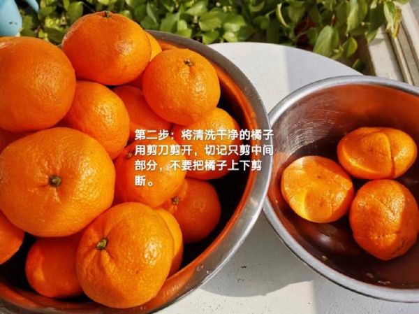 橘饼的做法_如何自制橘饼-第1张图片-山城妙识