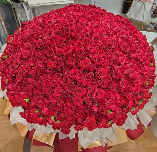 玫瑰花图片大全999朵_如何挑选高清大图-第1张图片-山城妙识 玫瑰花图片大全999朵_如何挑选高清大图-第1张图片-山城妙识