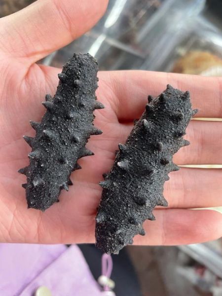 鲜海参怎么晒干_干海参家庭做法-第1张图片-山城妙识 鲜海参怎么晒干_干海参家庭做法-第1张图片-山城妙识