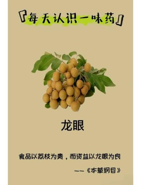 龙眼有什么营养价值_龙眼的功效与作用-第1张图片-山城妙识 龙眼有什么营养价值_龙眼的功效与作用-第1张图片-山城妙识