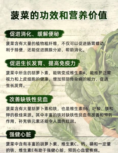 菠菜的营养价值及功效与作用禁忌_什么人不能吃菠菜-第1张图片-山城妙识