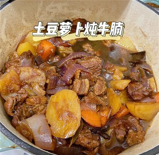 胡萝卜土豆炖牛腩怎么做_牛腩炖多久才软烂-第1张图片-山城妙识 胡萝卜土豆炖牛腩怎么做_牛腩炖多久才软烂-第1张图片-山城妙识