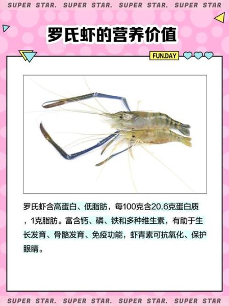罗氏虾养殖条件_罗氏虾养殖方法-第1张图片-山城妙识 罗氏虾养殖条件_罗氏虾养殖方法-第1张图片-山城妙识