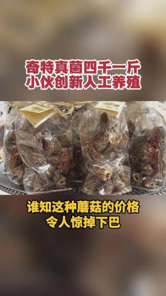 东北红蘑菇多少钱一斤_东北红蘑菇价格行情-第3张图片-山城妙识 东北红蘑菇多少钱一斤_东北红蘑菇价格行情-第3张图片-山城妙识