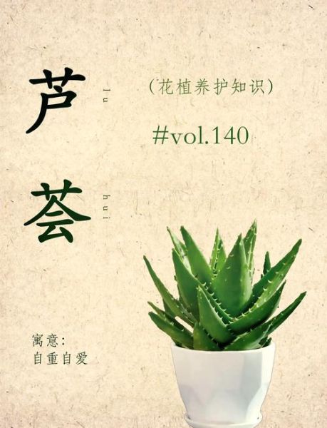 上农大叶芦荟怎么养_上农大叶芦荟功效与作用-第2张图片-山城妙识 上农大叶芦荟怎么养_上农大叶芦荟功效与作用-第2张图片-山城妙识