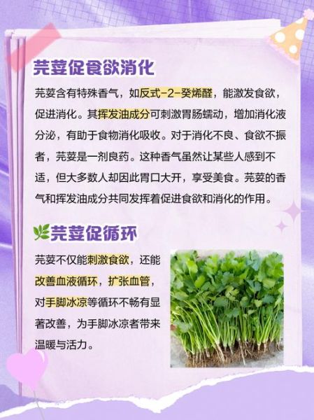 芫荽什么人不能吃_芫荽的副作用与禁忌-第2张图片-山城妙识 芫荽什么人不能吃_芫荽的副作用与禁忌-第2张图片-山城妙识