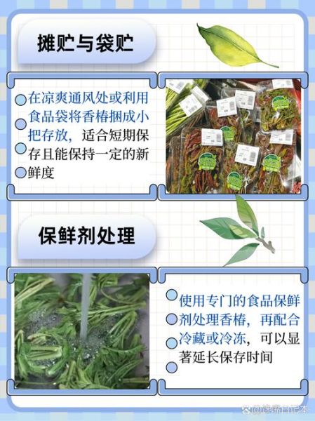 香椿怎么保存_香椿冷冻还是冷藏好-第2张图片-山城妙识