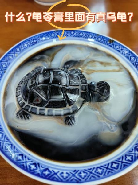 龟苓膏里面真的有乌龟吗_龟苓膏成分揭秘-第2张图片-山城妙识