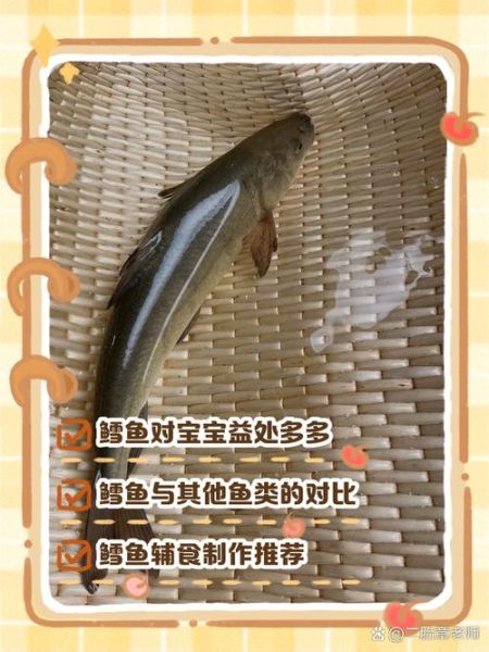 宝宝吃鳕鱼还是银鳕鱼_哪个更安全-第2张图片-山城妙识