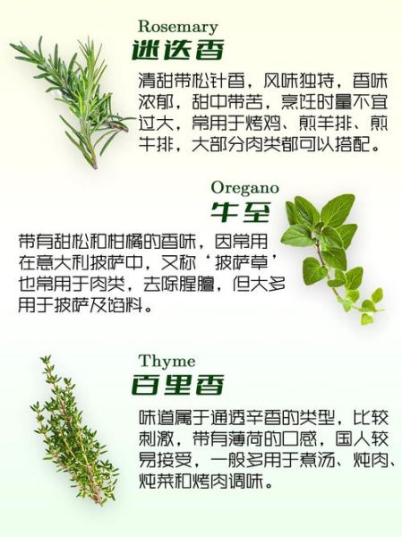 香草精油的功效与作用_如何使用香草精油-第3张图片-山城妙识 香草精油的功效与作用_如何使用香草精油-第3张图片-山城妙识