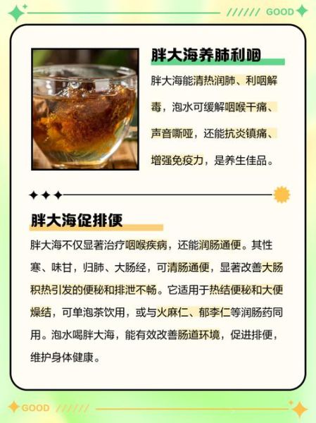 胖大海泡水喝的正确方法_胖大海一天泡几颗合适-第2张图片-山城妙识 胖大海泡水喝的正确方法_胖大海一天泡几颗合适-第2张图片-山城妙识