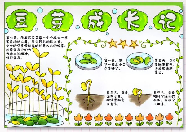 豆芽怎么种_豆芽生长过程手绘图-第2张图片-山城妙识