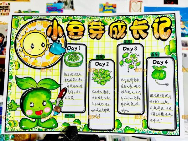 豆芽怎么种_豆芽生长过程手绘图-第3张图片-山城妙识