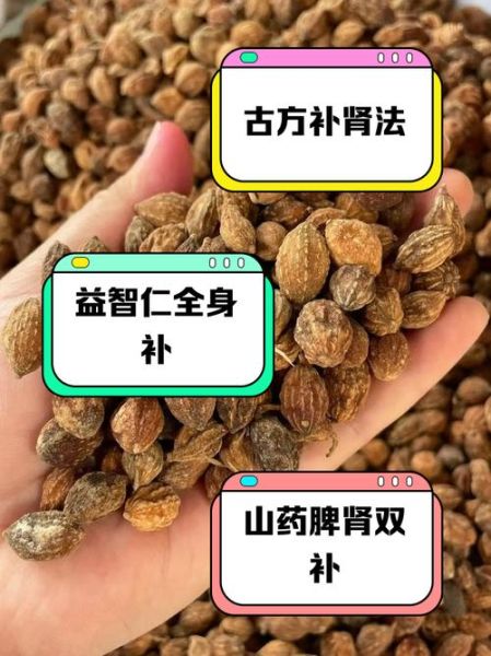 补肾偏方53个_真的有用吗-第3张图片-山城妙识 补肾偏方53个_真的有用吗-第3张图片-山城妙识