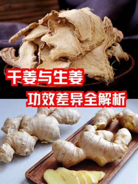 良姜图片功效与作用_良姜和生姜的区别-第2张图片-山城妙识