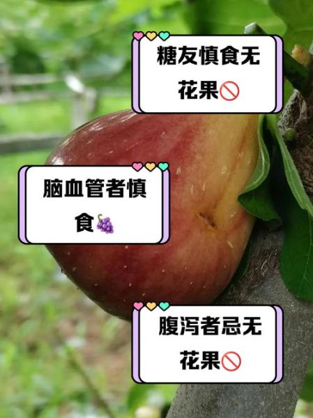 吃无花果的禁忌_哪些人不能吃无花果-第1张图片-山城妙识 吃无花果的禁忌_哪些人不能吃无花果-第1张图片-山城妙识