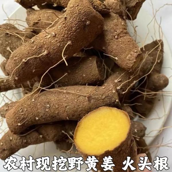 野黄姜的功效与作用_野黄姜怎么吃效果最好-第2张图片-山城妙识 野黄姜的功效与作用_野黄姜怎么吃效果最好-第2张图片-山城妙识