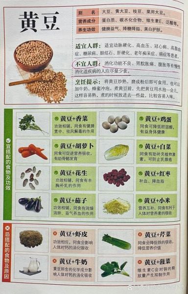 黄豆怎么做好吃_黄豆的营养价值与吃法大全-第2张图片-山城妙识 黄豆怎么做好吃_黄豆的营养价值与吃法大全-第2张图片-山城妙识