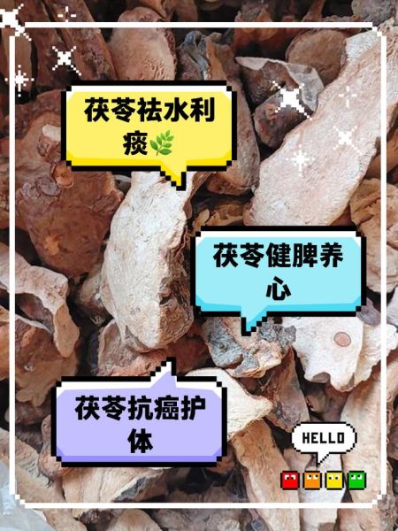 长期服用茯苓的危害_茯苓副作用有哪些-第3张图片-山城妙识 长期服用茯苓的危害_茯苓副作用有哪些-第3张图片-山城妙识