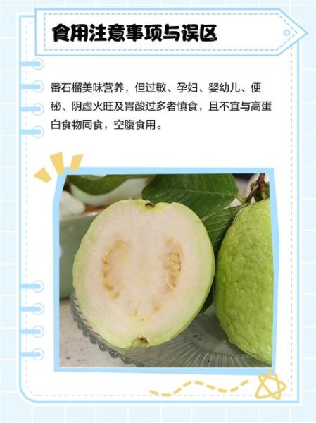 番石榴怎么吃_番石榴可以连皮吃吗-第3张图片-山城妙识 番石榴怎么吃_番石榴可以连皮吃吗-第3张图片-山城妙识