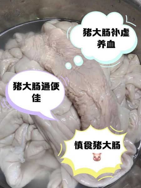 猪大肠有什么营养_猪大肠吃了会上火吗-第1张图片-山城妙识 猪大肠有什么营养_猪大肠吃了会上火吗-第1张图片-山城妙识