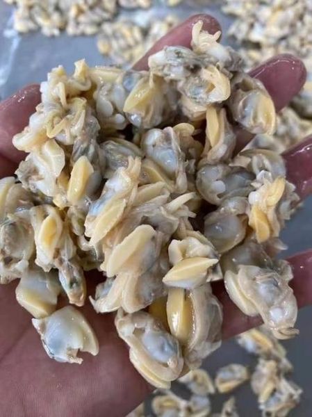 冰冻花蛤肉怎么炒好吃_冰冻花蛤肉的做法大全-第3张图片-山城妙识 冰冻花蛤肉怎么炒好吃_冰冻花蛤肉的做法大全-第3张图片-山城妙识