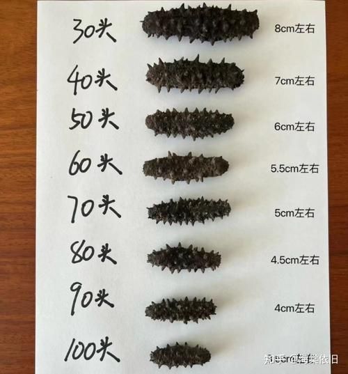 野生海参的价位是多少_野生海参多少钱一斤-第3张图片-山城妙识