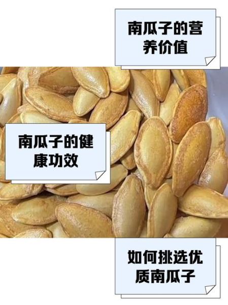 南瓜子的功效与作用_南瓜子营养价值高吗-第1张图片-山城妙识