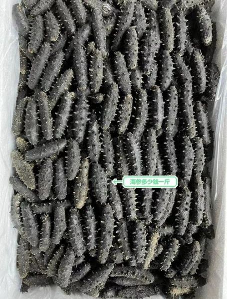 野生海参的价位是多少_野生海参多少钱一斤-第1张图片-山城妙识