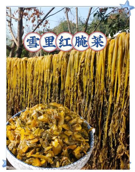 雪菜有几种图片_雪菜品种图片大全-第3张图片-山城妙识