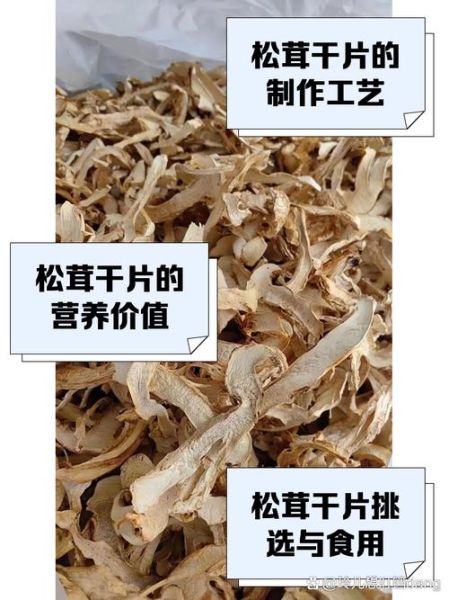 干松茸怎么吃_干松茸泡发方法-第3张图片-山城妙识 干松茸怎么吃_干松茸泡发方法-第3张图片-山城妙识