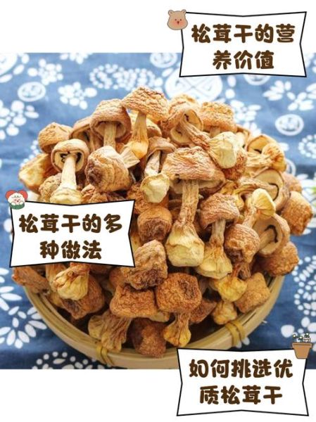 干松茸怎么吃_干松茸泡发方法-第2张图片-山城妙识 干松茸怎么吃_干松茸泡发方法-第2张图片-山城妙识