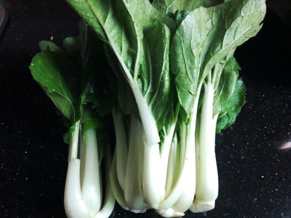 青菜类都有什么菜_常见青菜品种大全-第1张图片-山城妙识