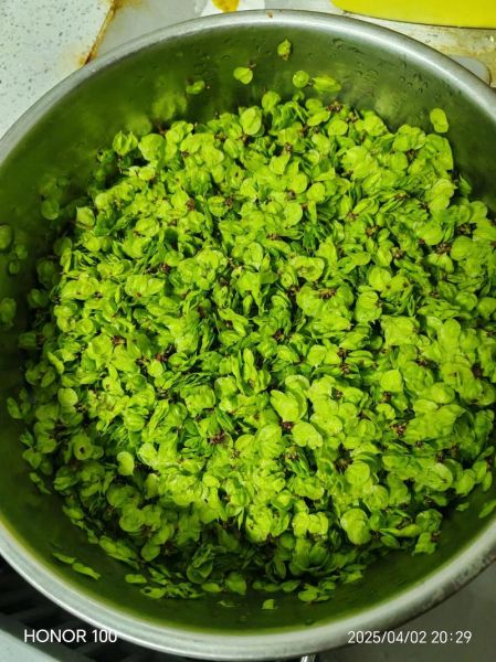 榆钱饺子怎么做_榆钱饺子馅怎么调才好吃-第1张图片-山城妙识 榆钱饺子怎么做_榆钱饺子馅怎么调才好吃-第1张图片-山城妙识