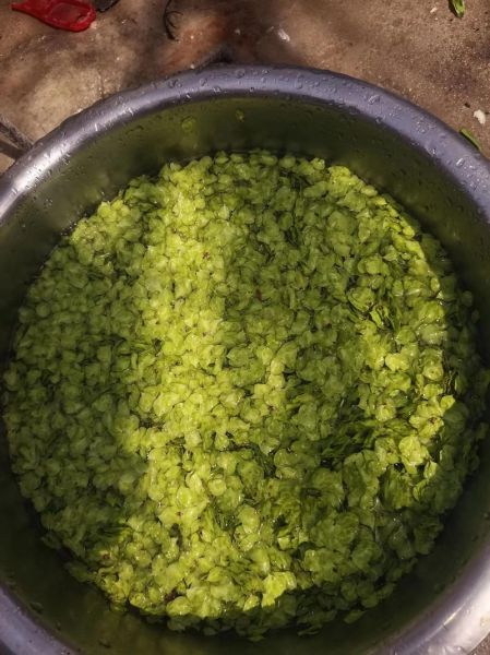 榆钱饺子怎么做_榆钱饺子馅怎么调才好吃-第3张图片-山城妙识 榆钱饺子怎么做_榆钱饺子馅怎么调才好吃-第3张图片-山城妙识